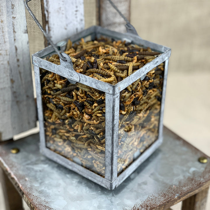 Happy Hen Treats Bug Bonanza™ - De Motte, IN - Belstra Farm & Garden